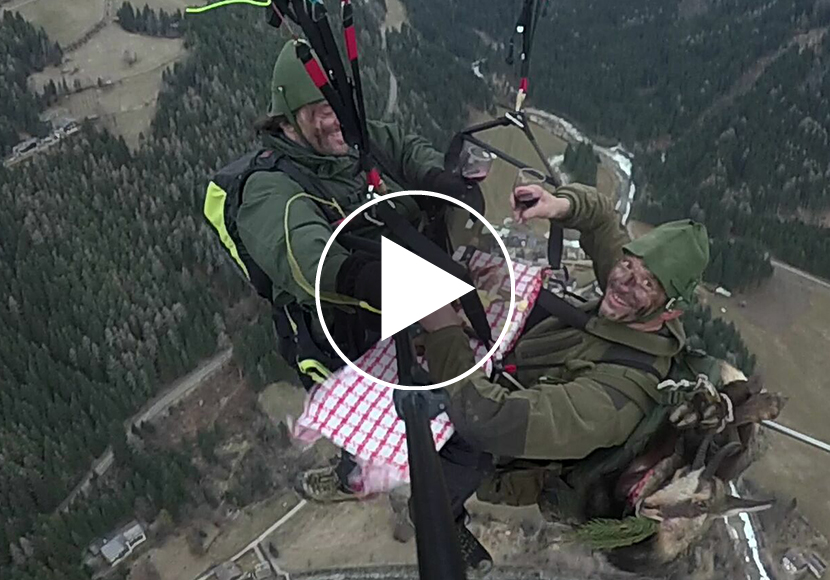 Tiroler Marende in der Luft – Video - UnserTirol24