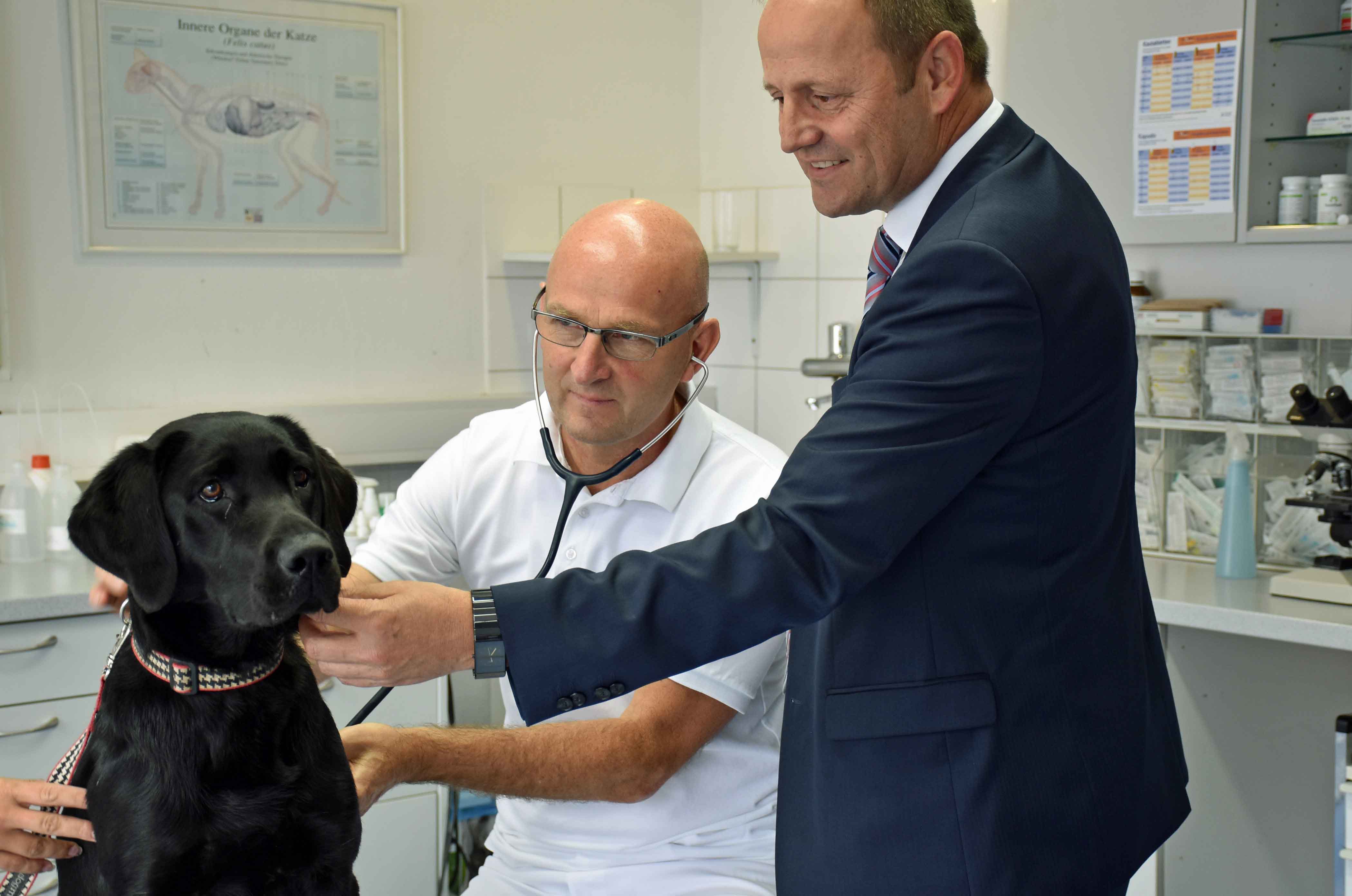 Pilotprojekt tierärztlicher Notdienst für Kleintiere - UnserTirol24