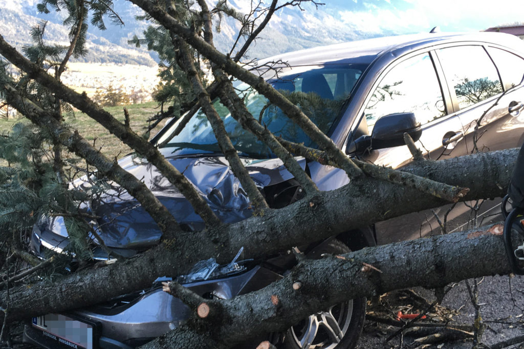 Baum trifft fahrendes Auto - UnserTirol24