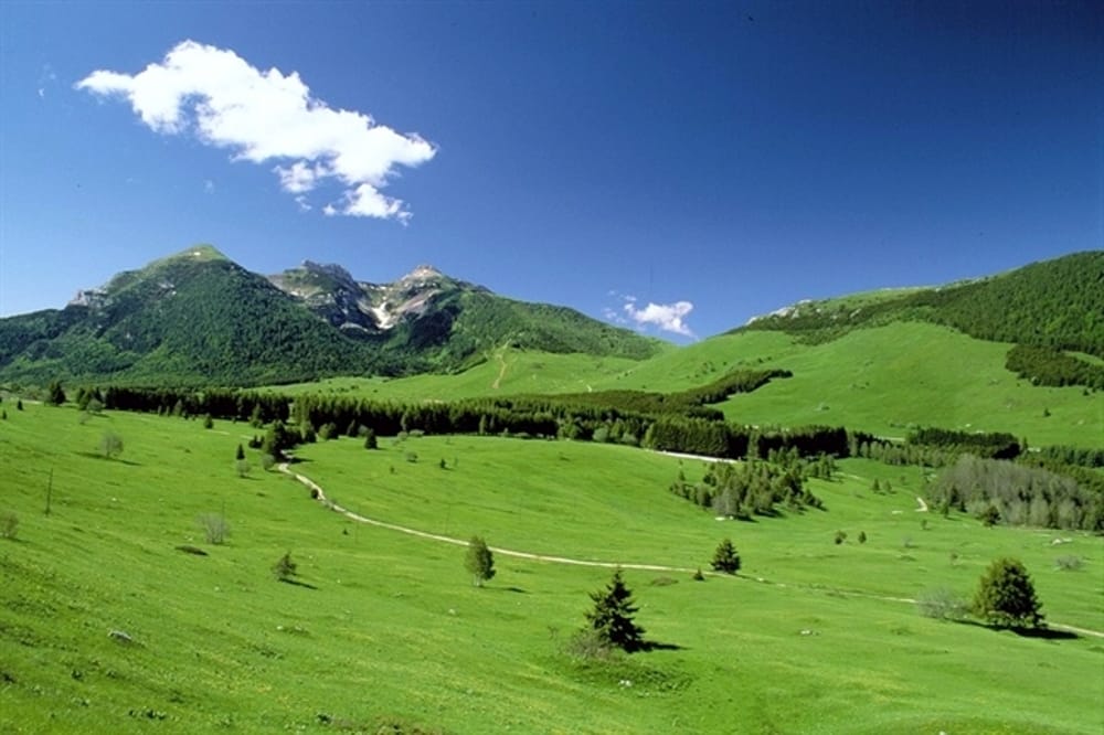 Monte Bondone Green Day - UnserTirol24