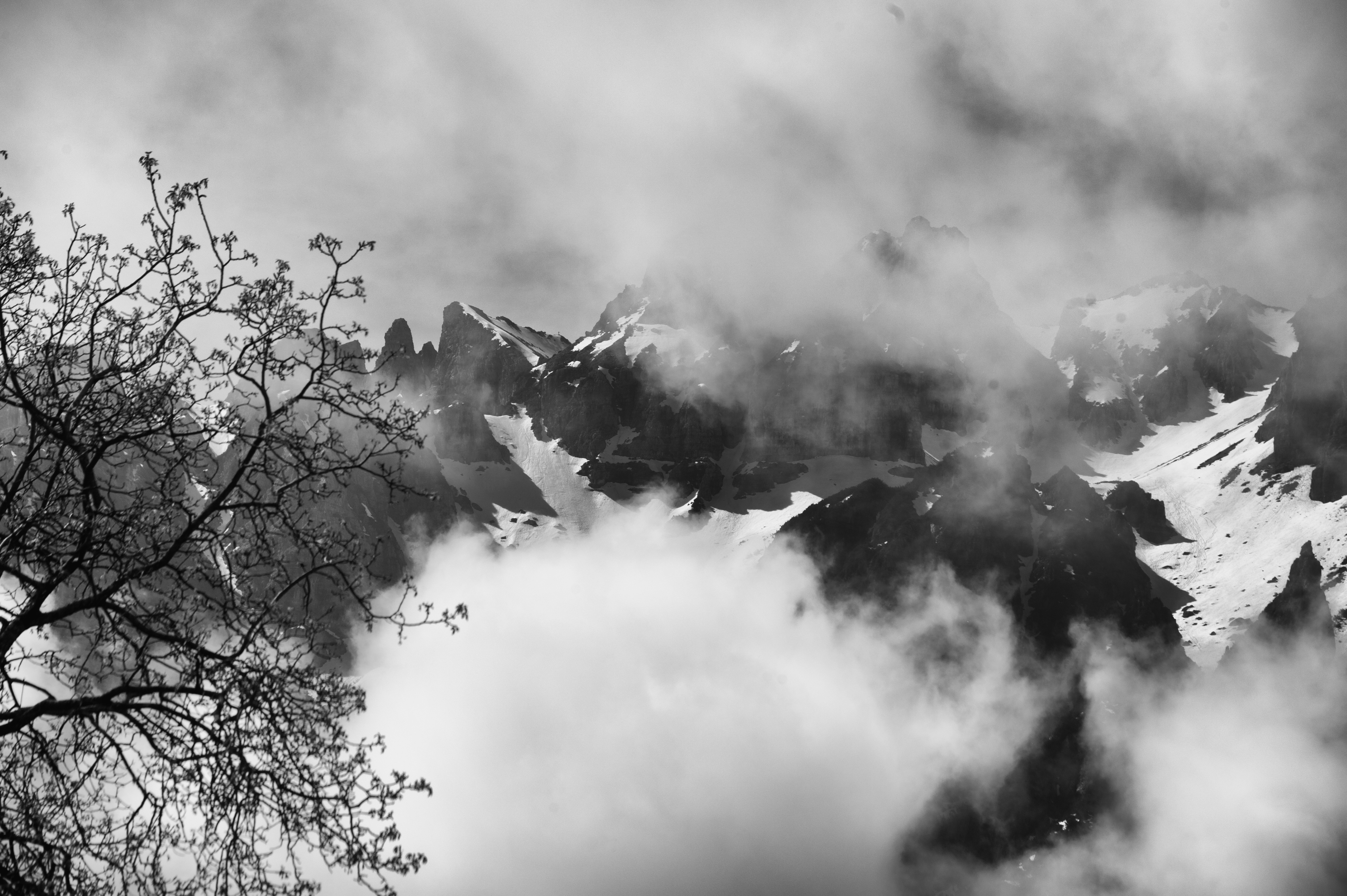 Attraverso l’obiettivo: Le nebbie della storia negata - UnserTirol24