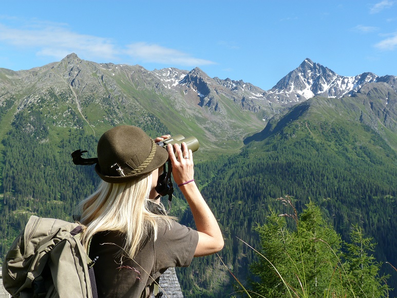 Die Jagdausbildung in Tirol muss pausieren - UnserTirol24