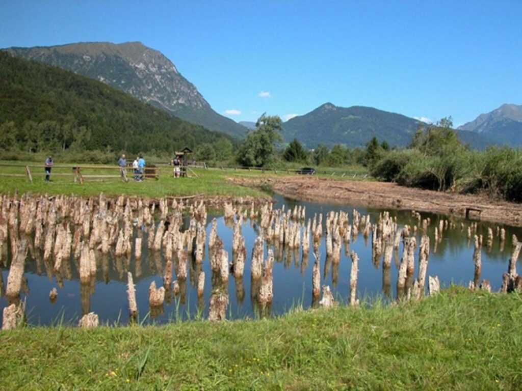 Palafitte di Fiavé e Ledro - UnserTirol24