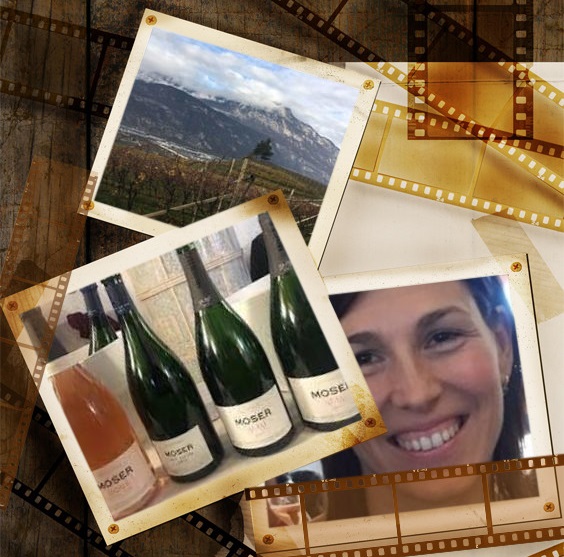 Quando il mondo del vino si tinge di rosa – 18 - UnserTirol24