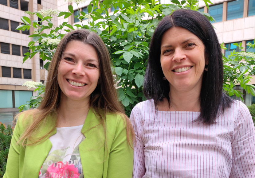 Suchtprobleme verändern die Familie - UnserTirol24