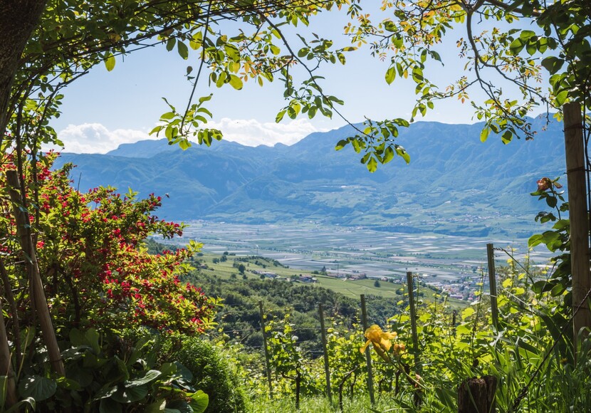 Montan plötzlich Tourismushochburg! - UnserTirol24