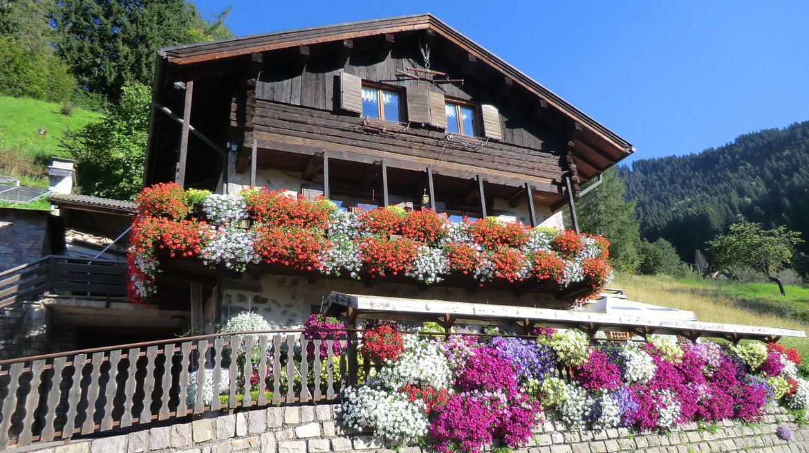 Hèlven de imprenditorn projektn en Bersntol - UnserTirol24