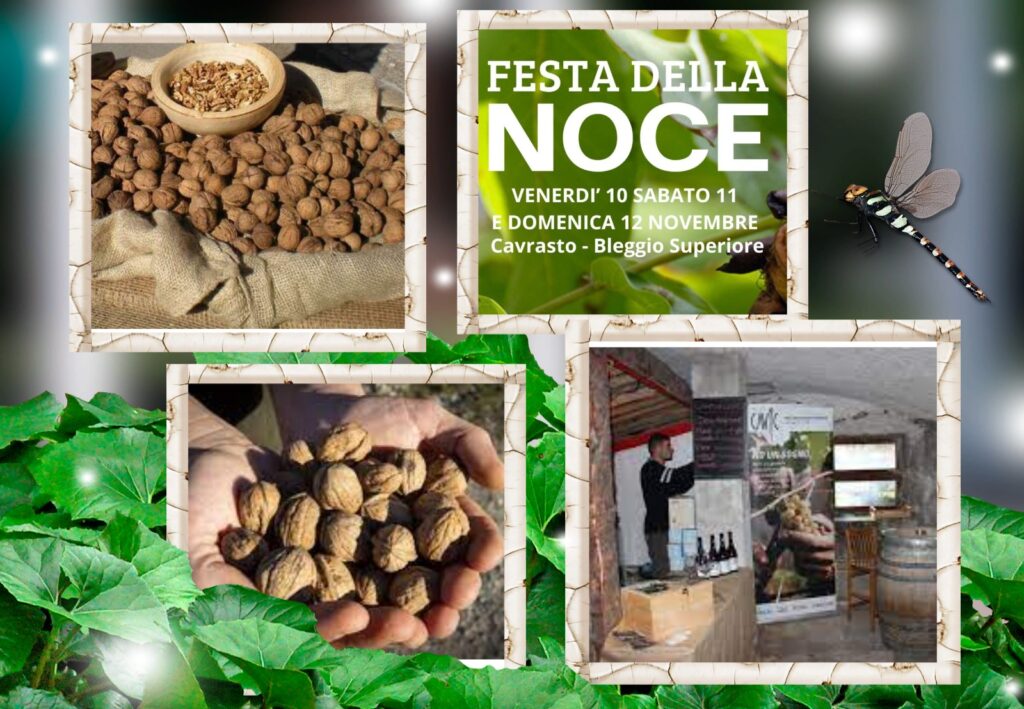 Festa della noce a Cavrasto - UnserTirol24