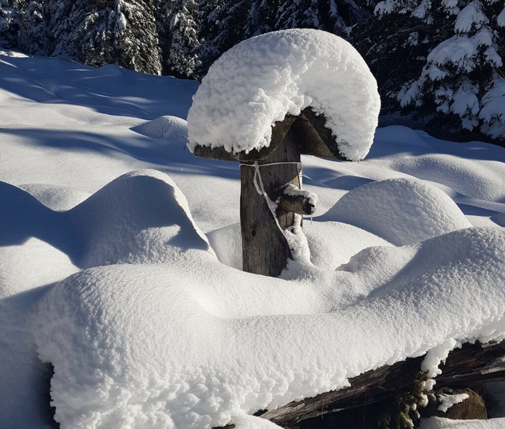 Tradizioni: Le Calende de Genar - UnserTirol24