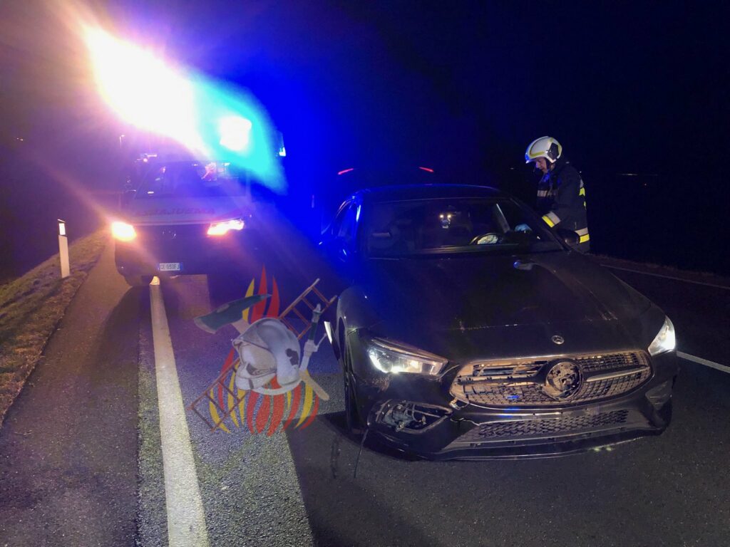 Auto investe un cinghiale - UnserTirol24 Auto investe un cinghiale - UnserTirol24