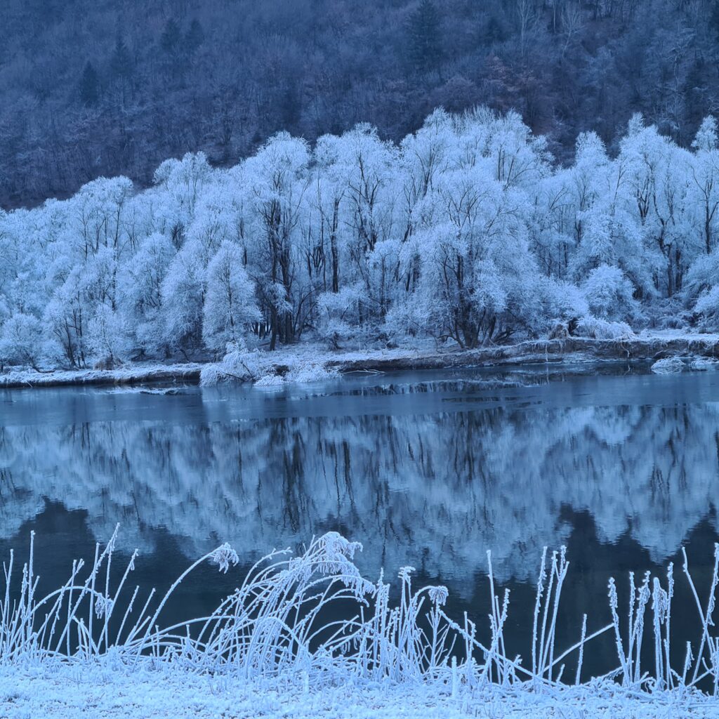 Un mondo fatato - UnserTirol24