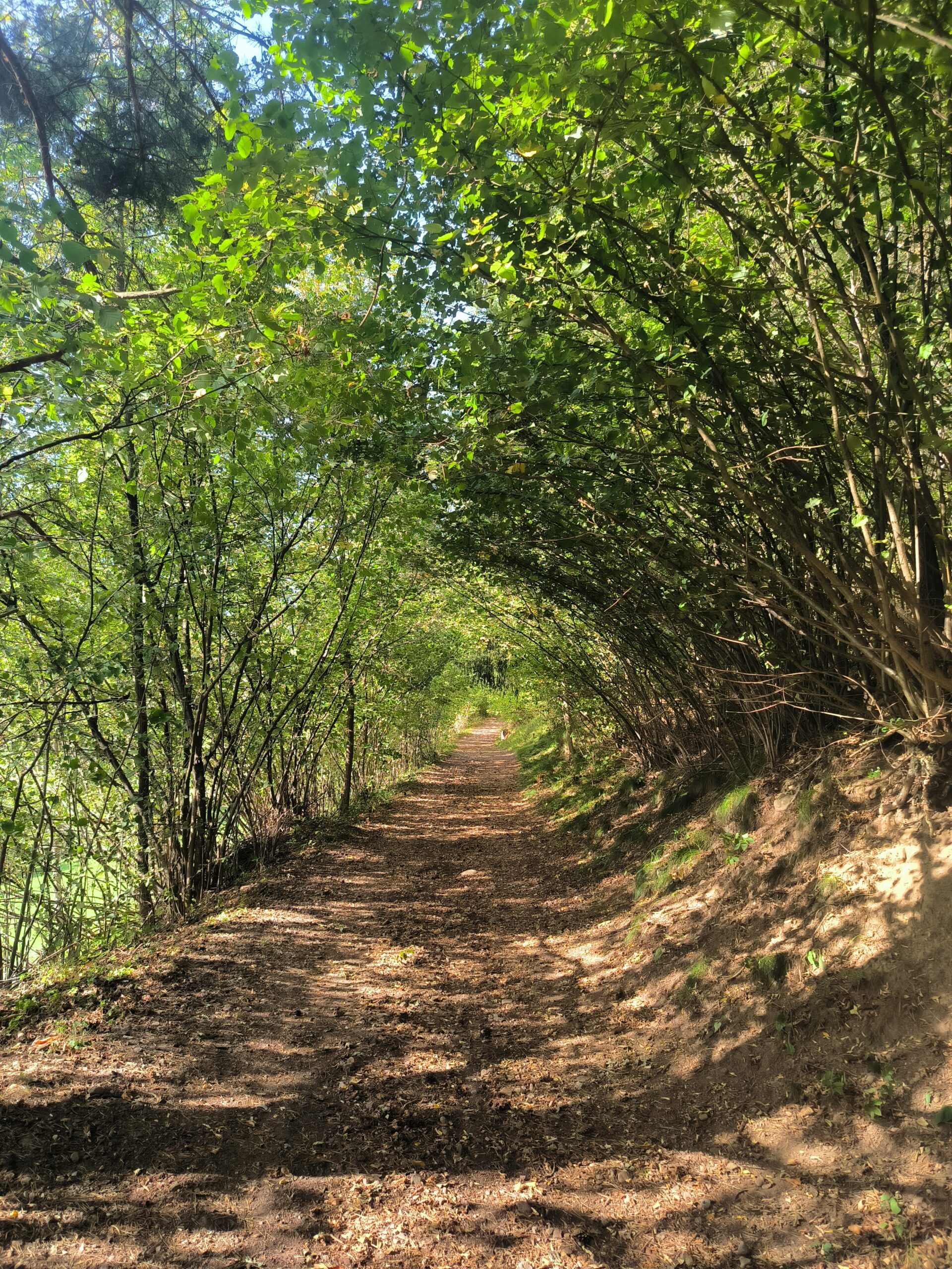 Camminando – Immersi nel biotopo Brozin - UnserTirol24