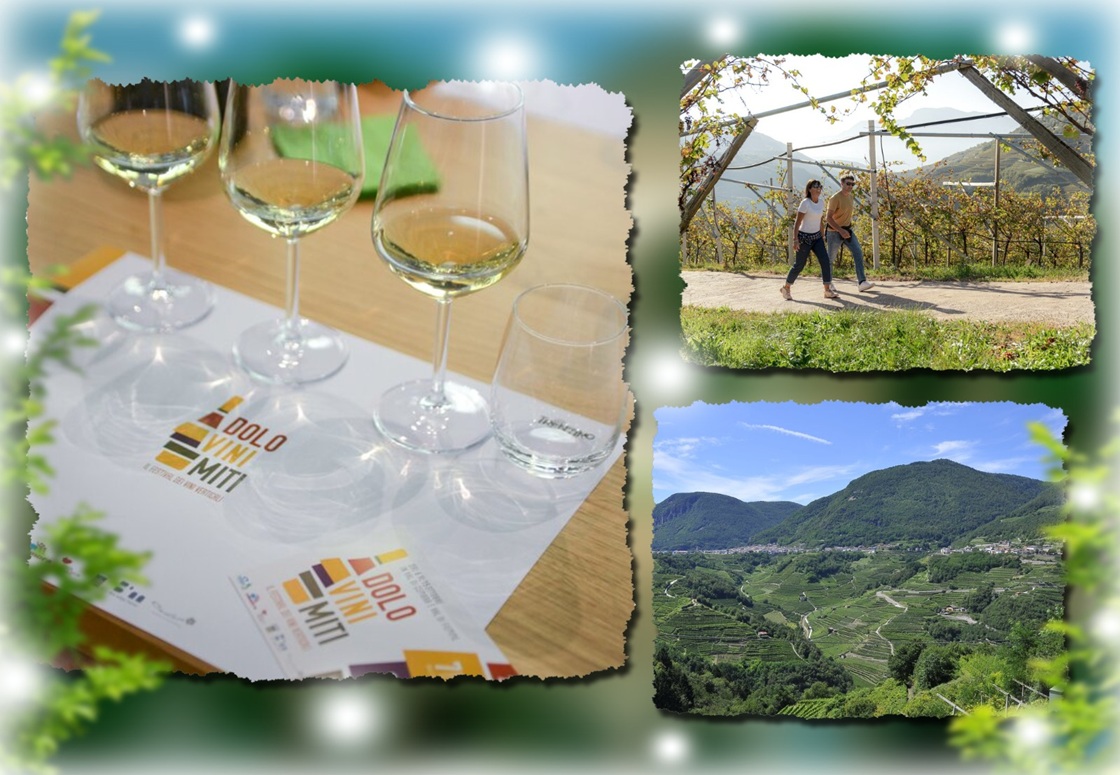 Dolo-vini-miti: il festival dei vini verticali - UnserTirol24
