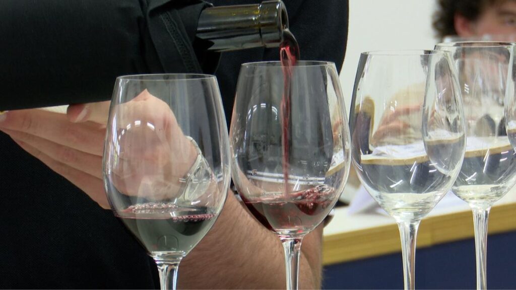 Vini del territorio e DOC Trento - UnserTirol24